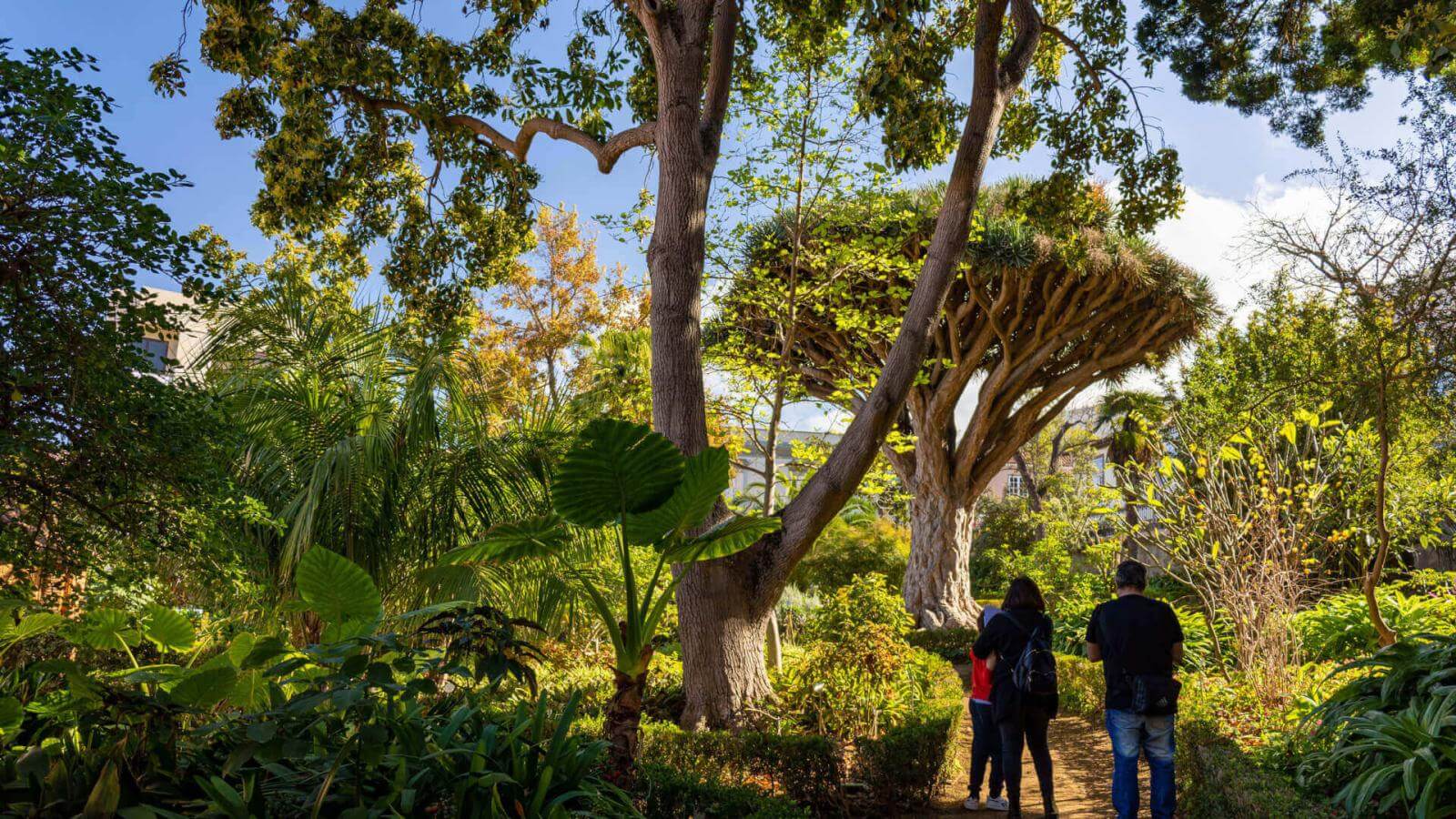 Hijuela del Botánico | Hallo Kanarische Inseln